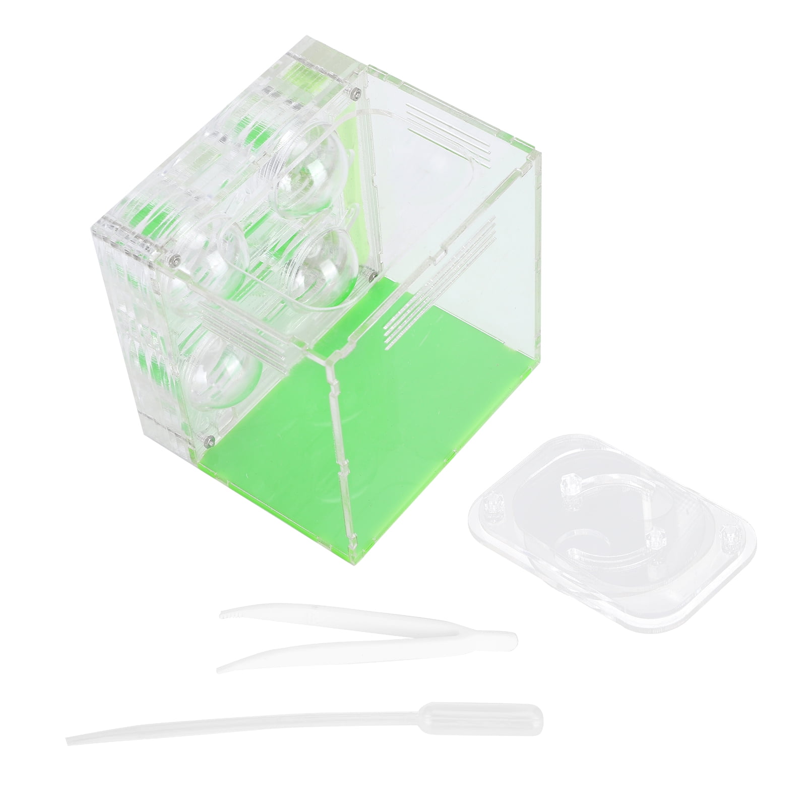 Rewera Transparent Acrylic Ant Breeding Box Watching Feeding ...