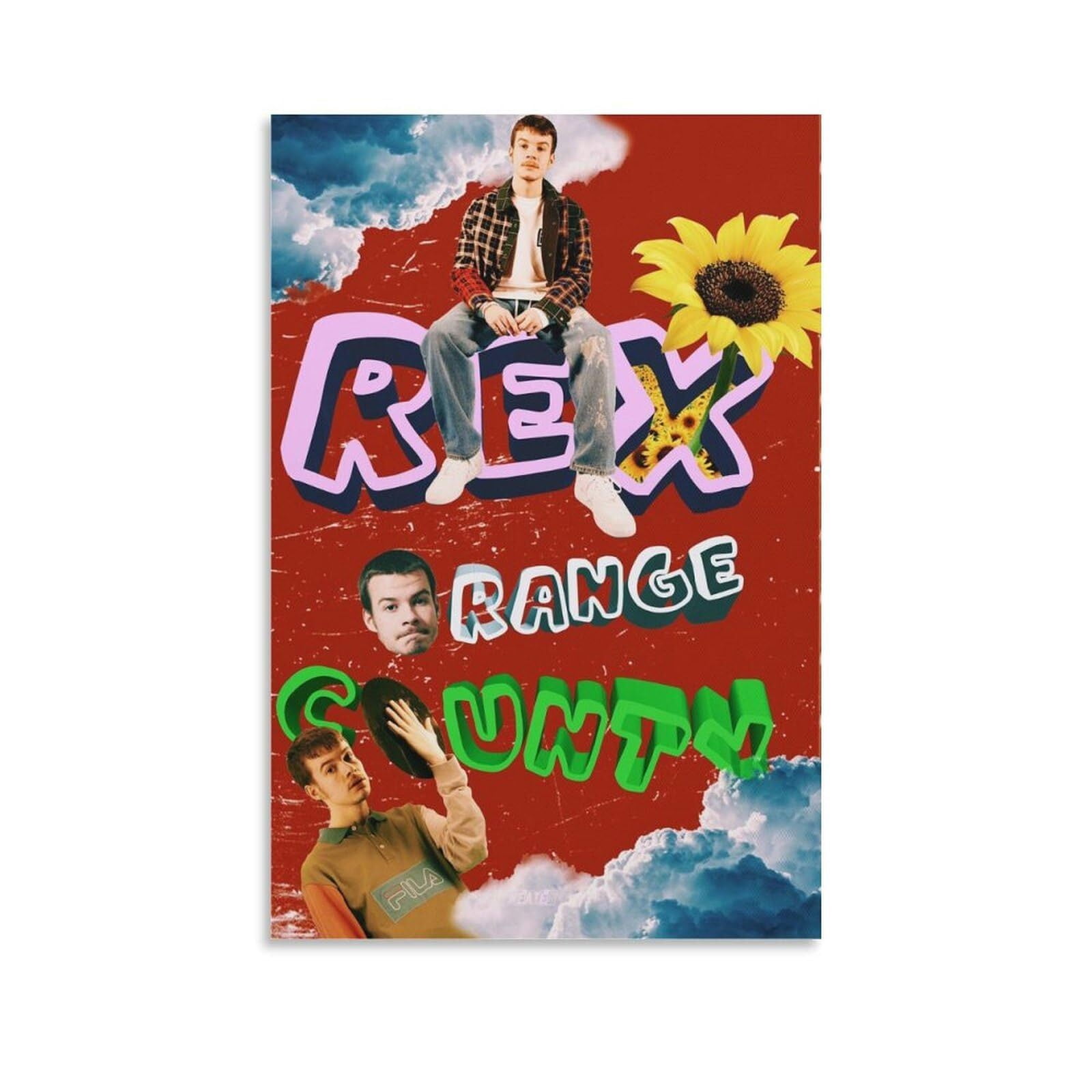 Rex Orange County Music Album Posters Canvas Poster Bedroom Decoration ...