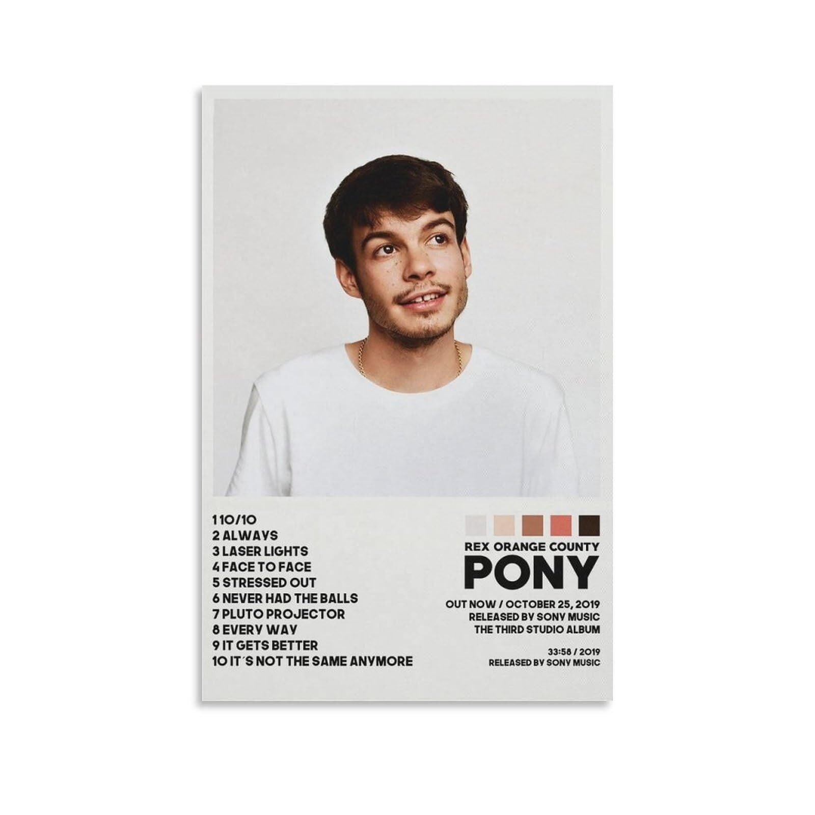 Rex Orange County Poster 115 Canvas Poster Bedroom Decoration Landscape ...