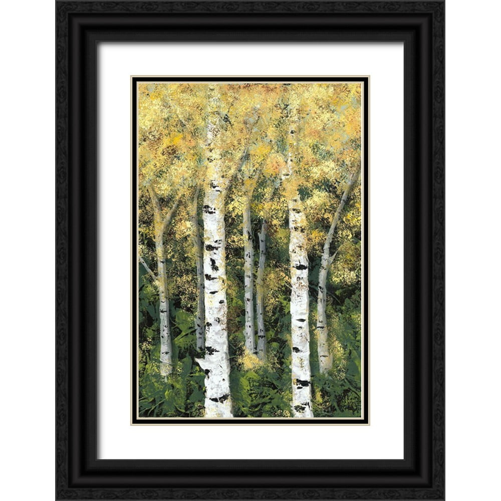 Reynolds, Jade 17x24 Black Ornate Wood Framed with Double Matting ...