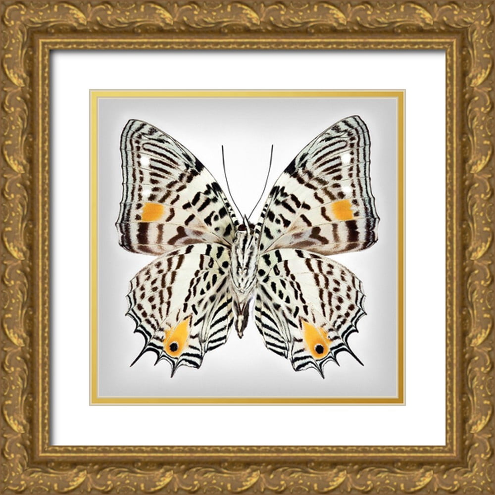 Reynolds, Richard 12x12 Gold Ornate Wood Framed with Double Matting ...