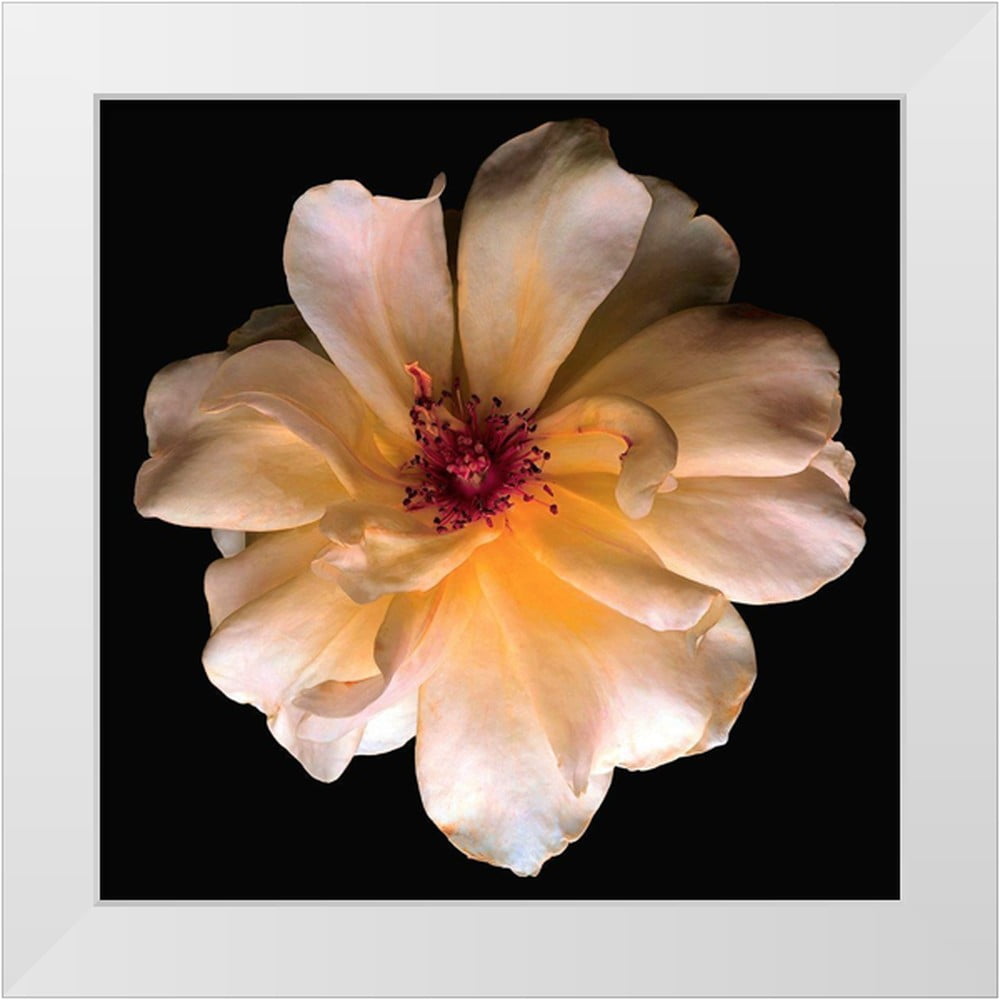 Reynolds, Richard 12x12 White Modern Wood Framed Museum Art Print ...