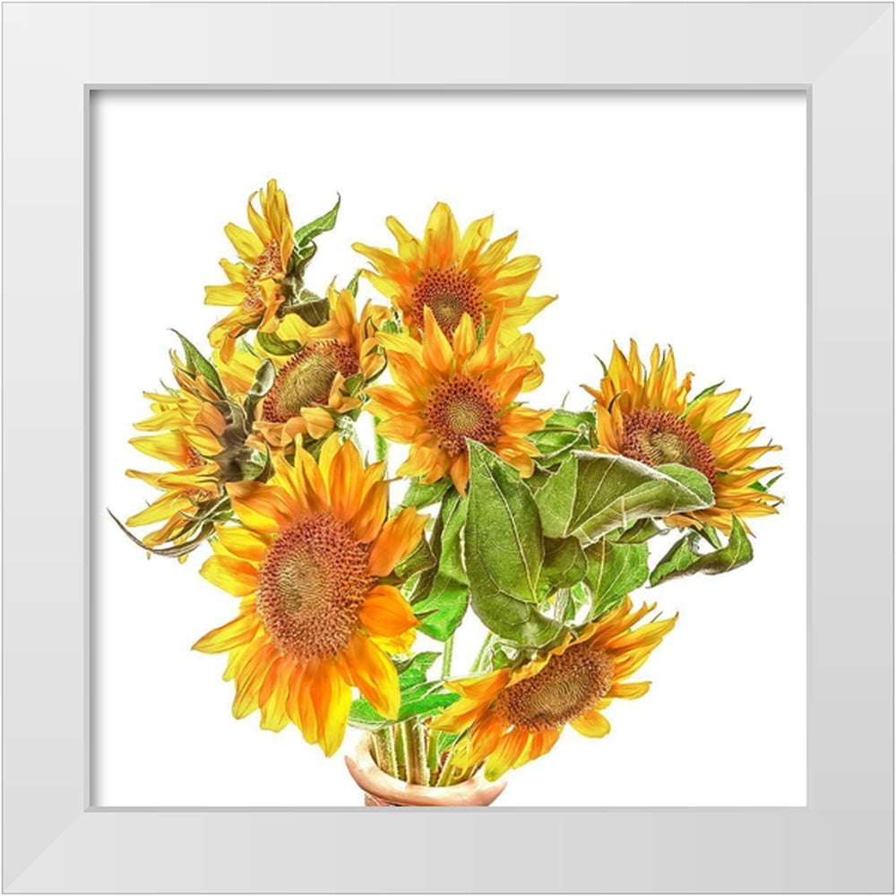 Reynolds, Richard 12x12 White Modern Wood Framed Museum Art Print ...