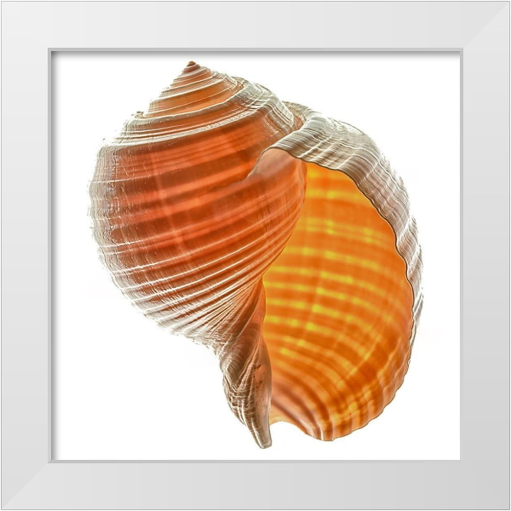 Reynolds, Richard 12x12 White Modern Wood Framed Museum Art Print ...