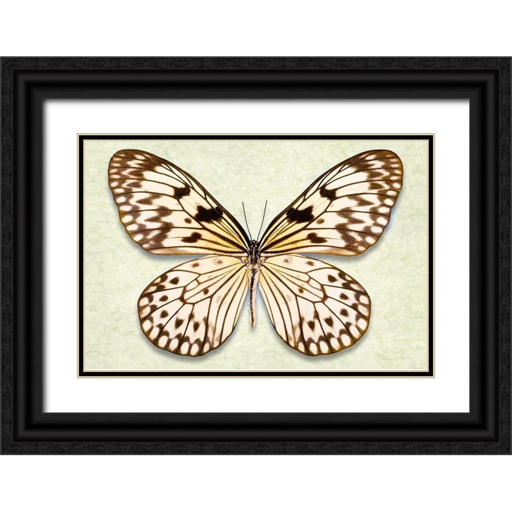 Reynolds, Richard 14x11 Black Ornate Wood Framed with Double Matting ...