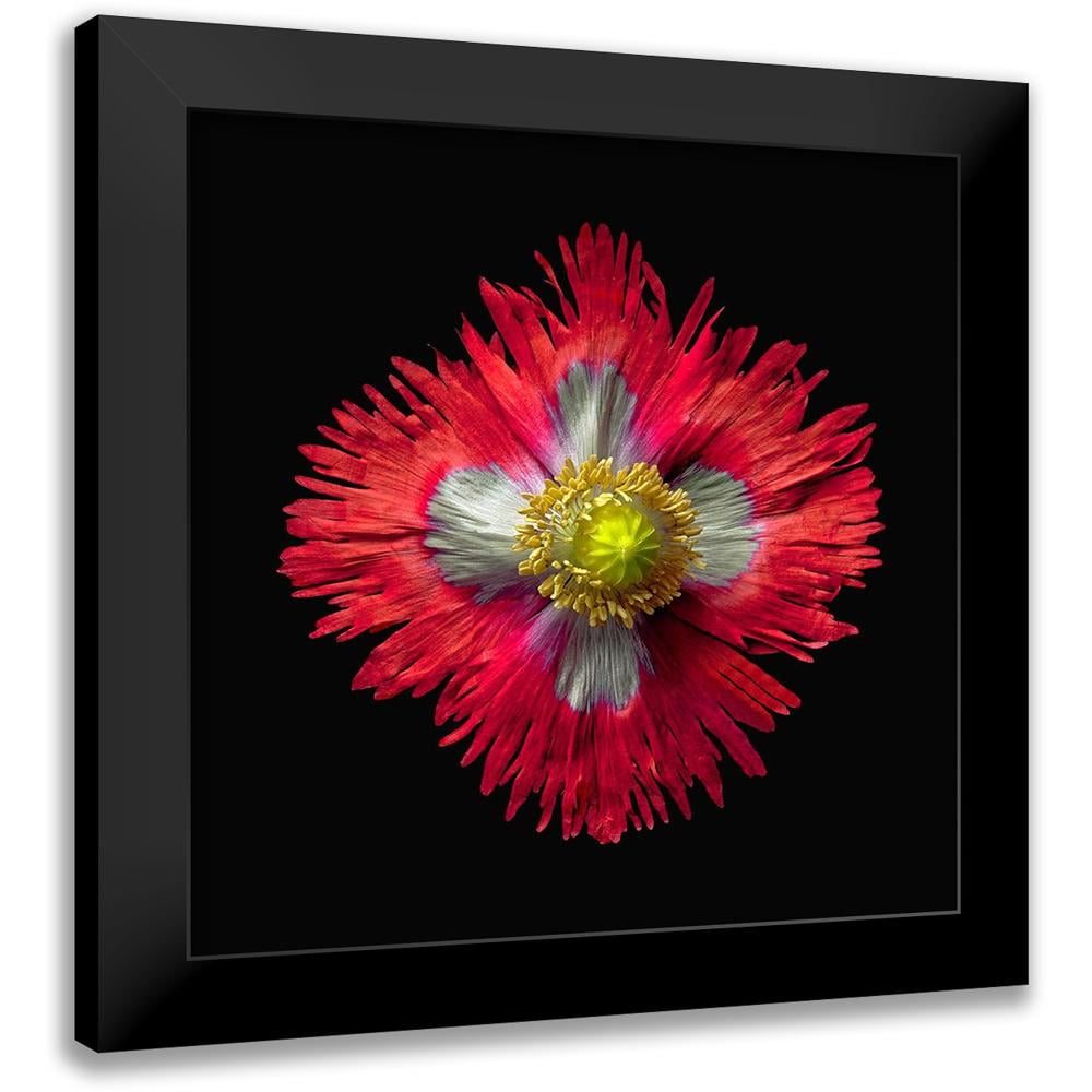 Reynolds, Richard 15x15 Black Modern Framed Museum Art Print Titled ...