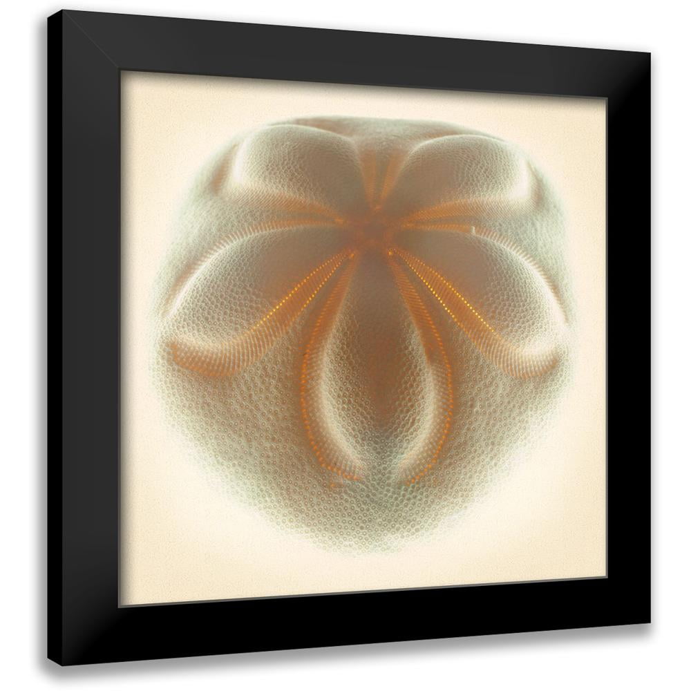 Reynolds, Richard 15x15 Black Modern Framed Museum Art Print Titled ...