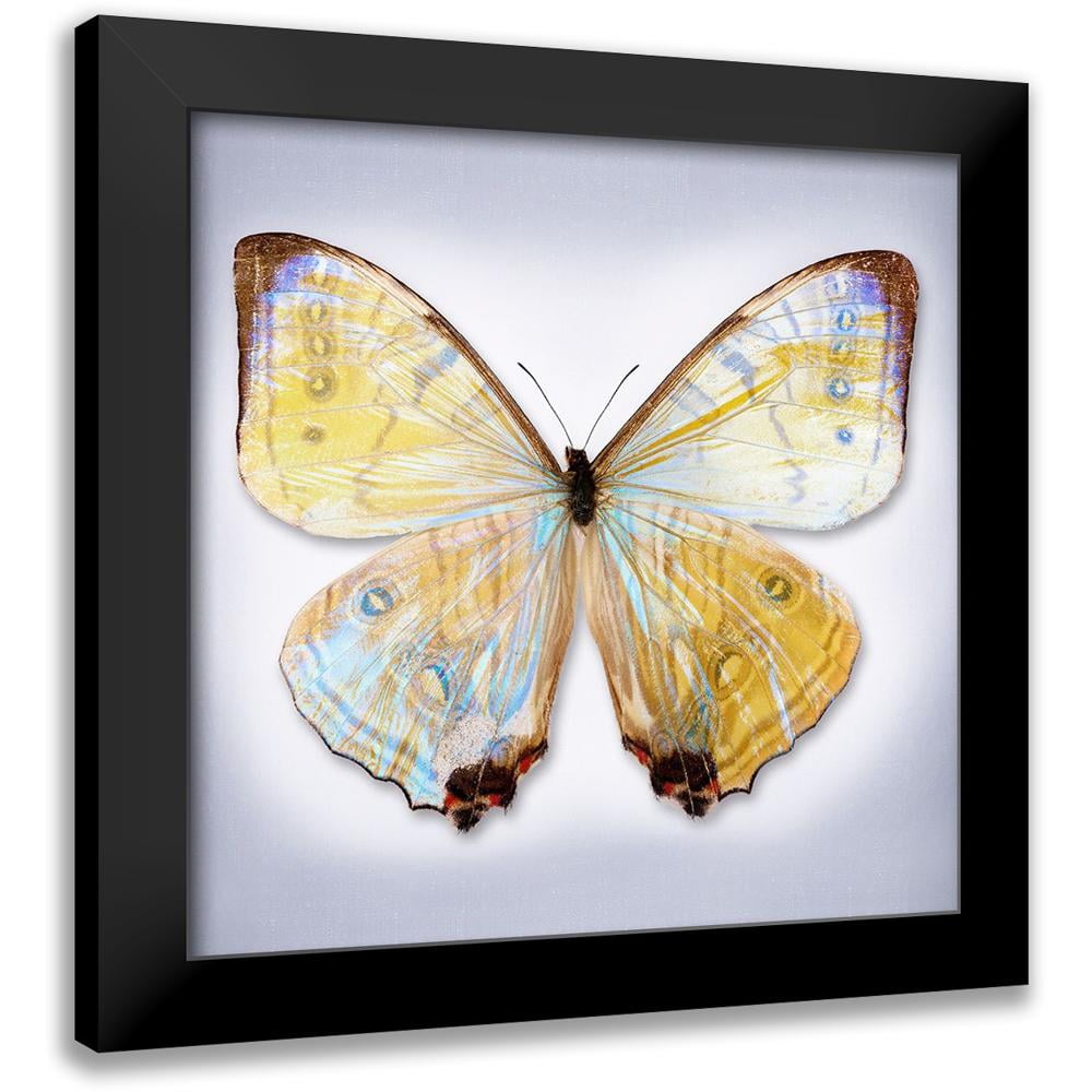 Reynolds, Richard 15x15 Black Modern Framed Museum Art Print Titled ...