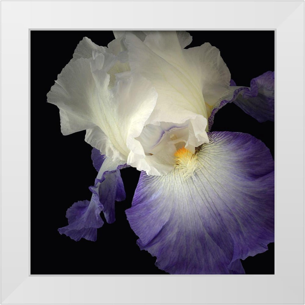 Reynolds, Richard 15x15 White Modern Wood Framed Museum Art Print ...