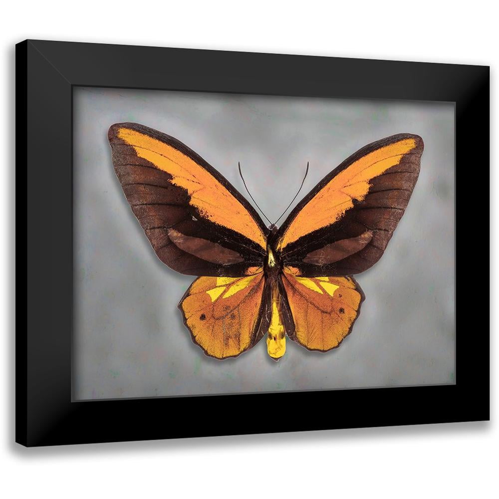 Reynolds, Richard 18x15 Black Modern Framed Museum Art Print Titled ...