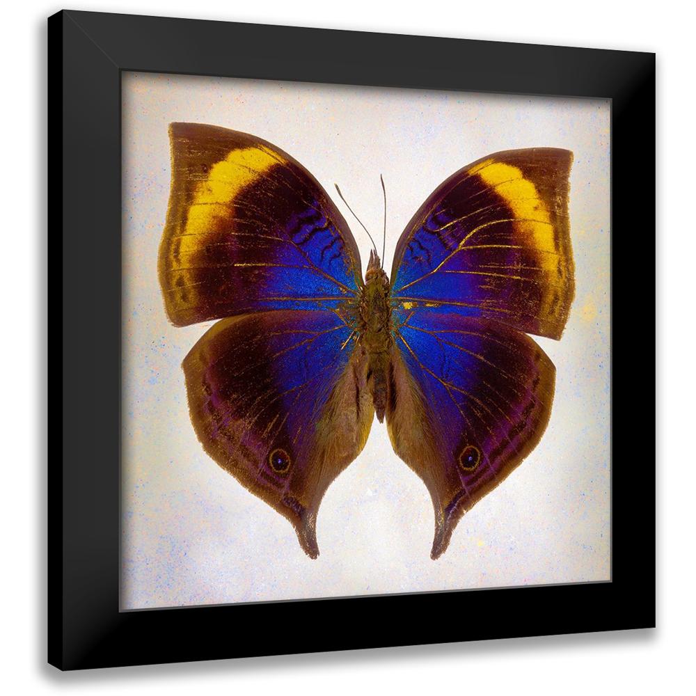 Reynolds, Richard 20x20 Black Modern Framed Museum Art Print Titled ...