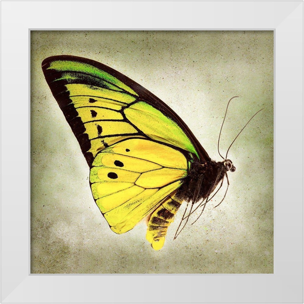 Reynolds, Richard 20x20 White Modern Wood Framed Museum Art Print ...