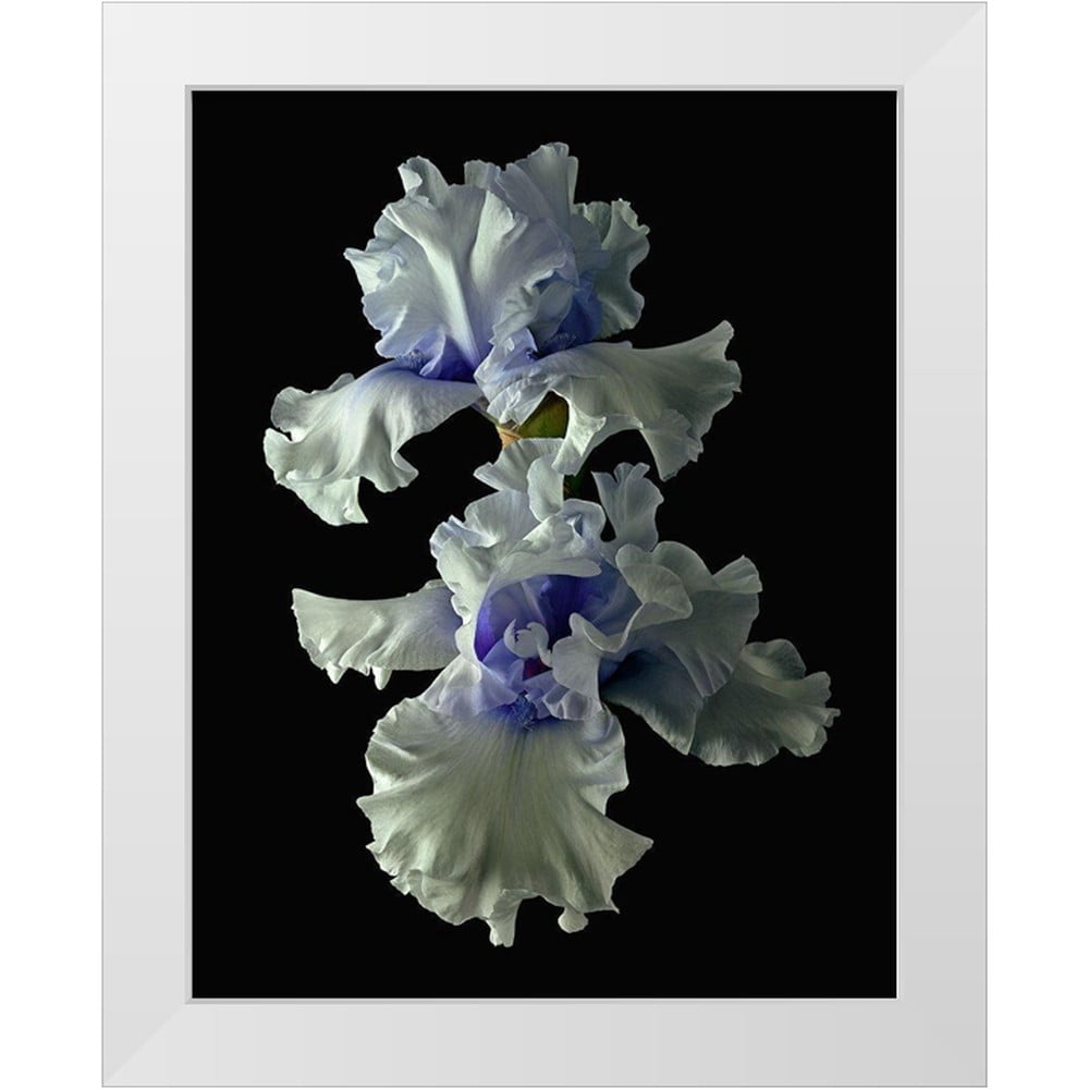Reynolds, Richard 20x24 White Modern Wood Framed Museum Art Print ...