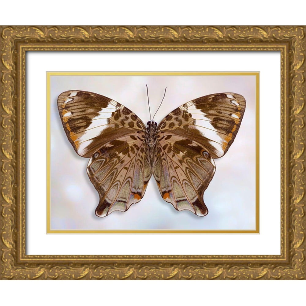 Reynolds, Richard 24x19 Gold Ornate Wood Framed with Double Matting ...