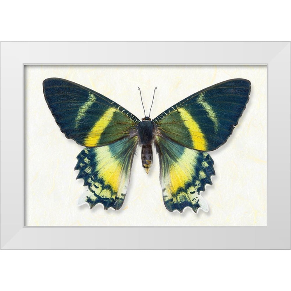 Reynolds, Richard 32x23 White Modern Wood Framed Museum Art Print ...