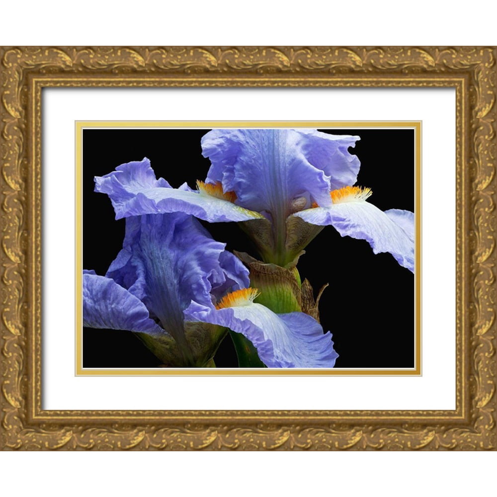 Reynolds, Richard 32x24 Gold Ornate Wood Framed with Double Matting ...