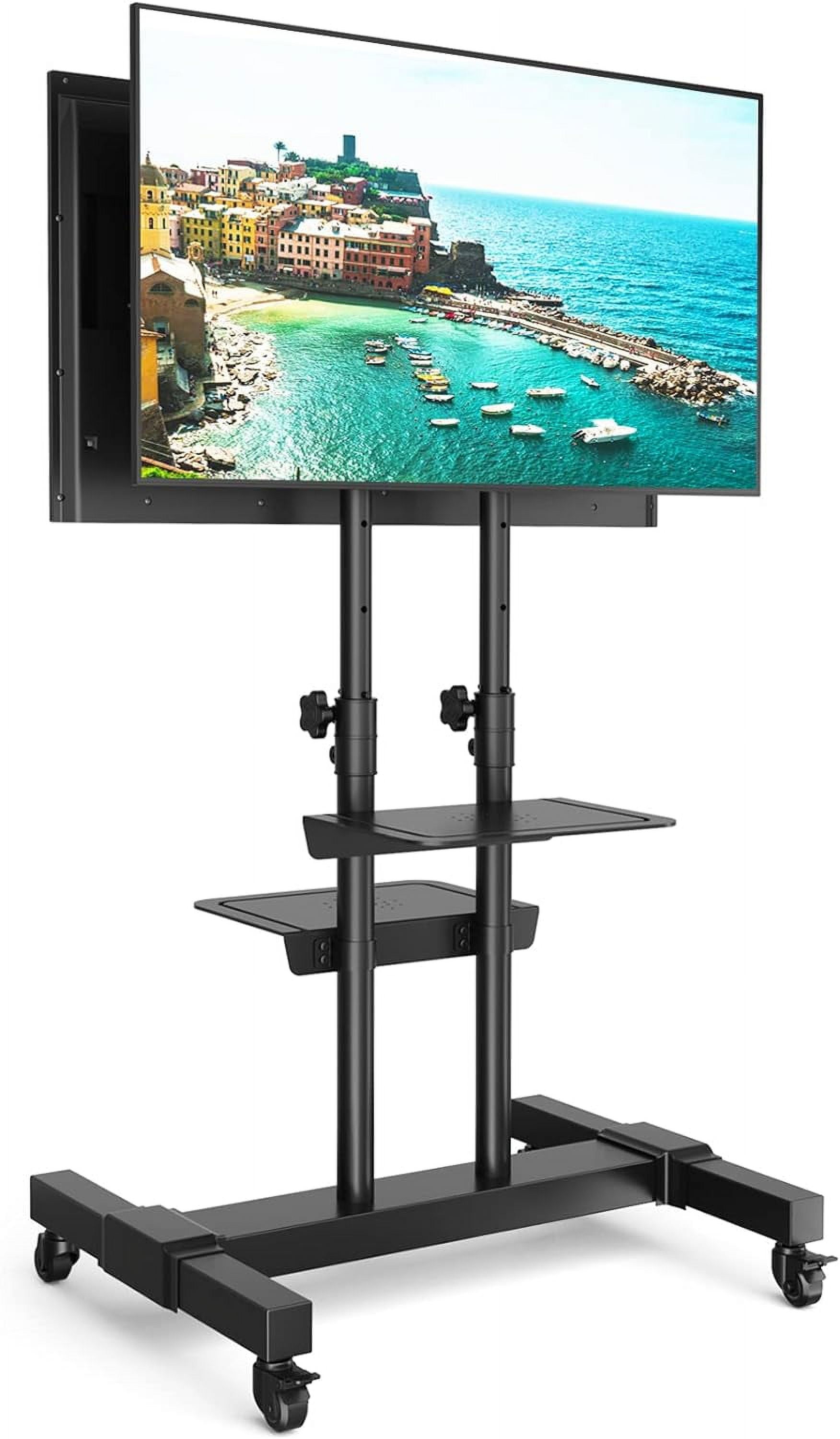 Rfiver Dual Monitors Mobile TV Cart with Tilt Mount for 37-80 Inch Flat ...