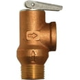 Rheem AP12993C Tankless Water Heater Pressure Relief Valve - Walmart.com