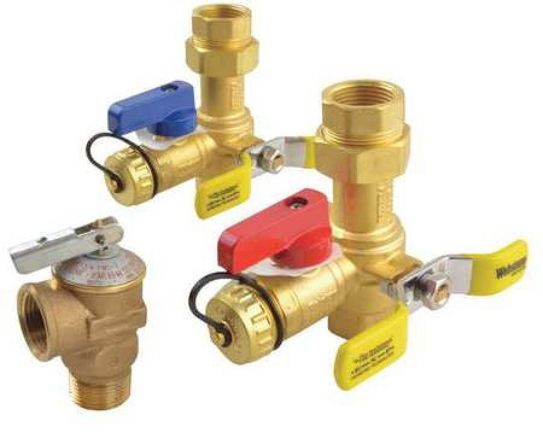 Rheem Tankless Service Clean Brass Valve Kit, 3/4 IPS, Hot & Cold Set ...