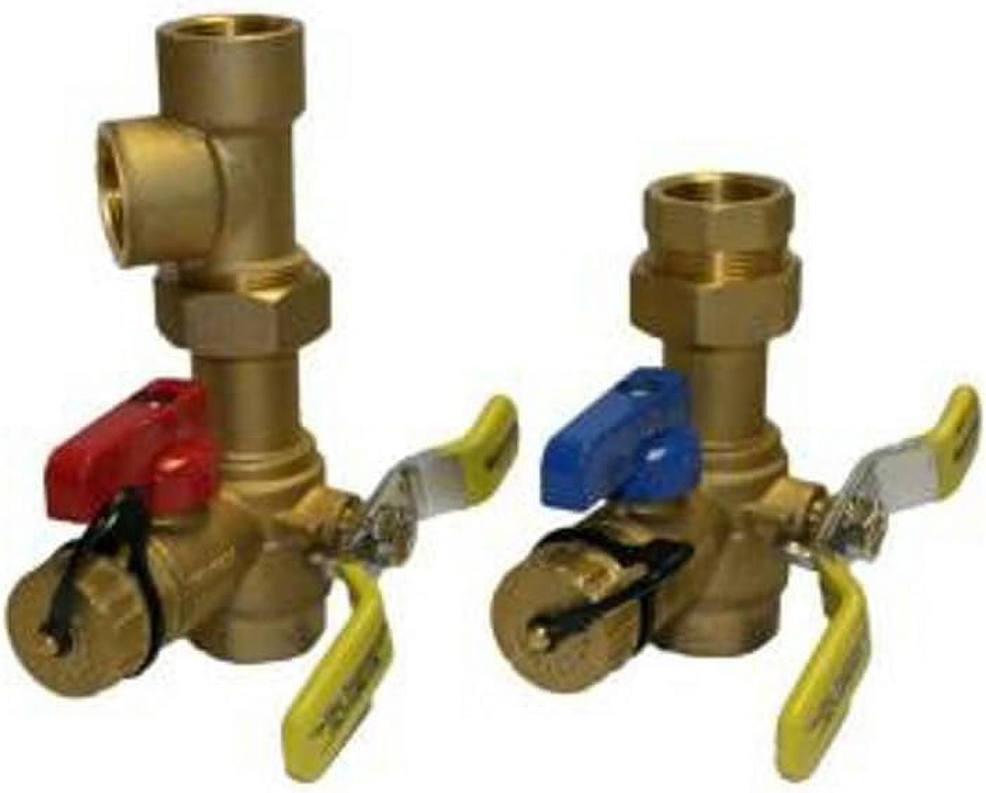 Rheem RTG20220AB Webstone Tankless Water Heater Service Valve Kit ...