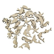 Bulk Set of 15 Imperfect Sand Dollars 2" - 3 1/4" | Ultimate Craft and ...