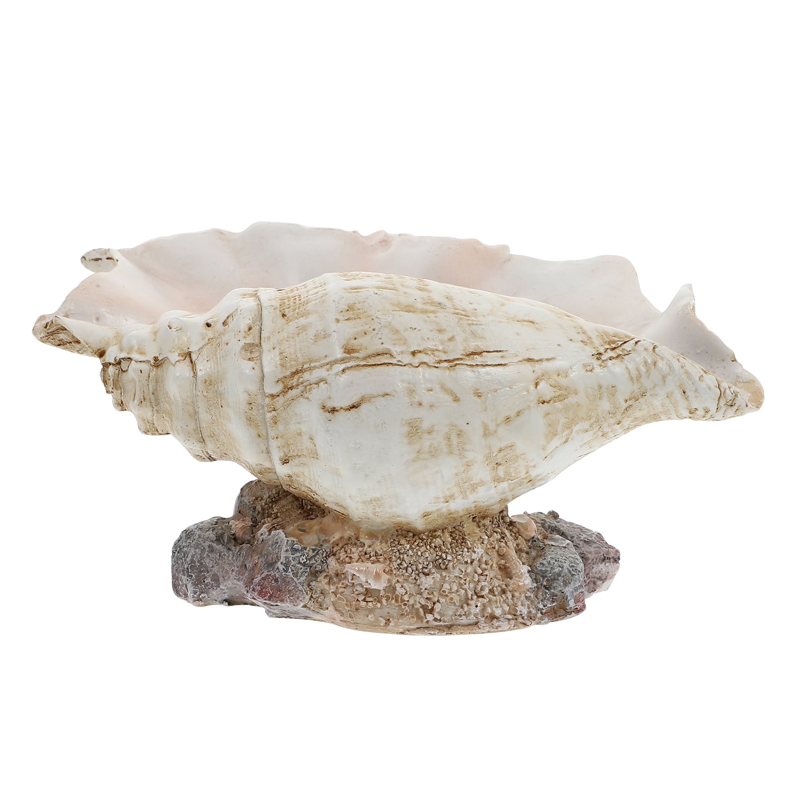 OFFIGAM Artistic Conch Vase Beige Resin Plant Pot Unique Home Decor ...