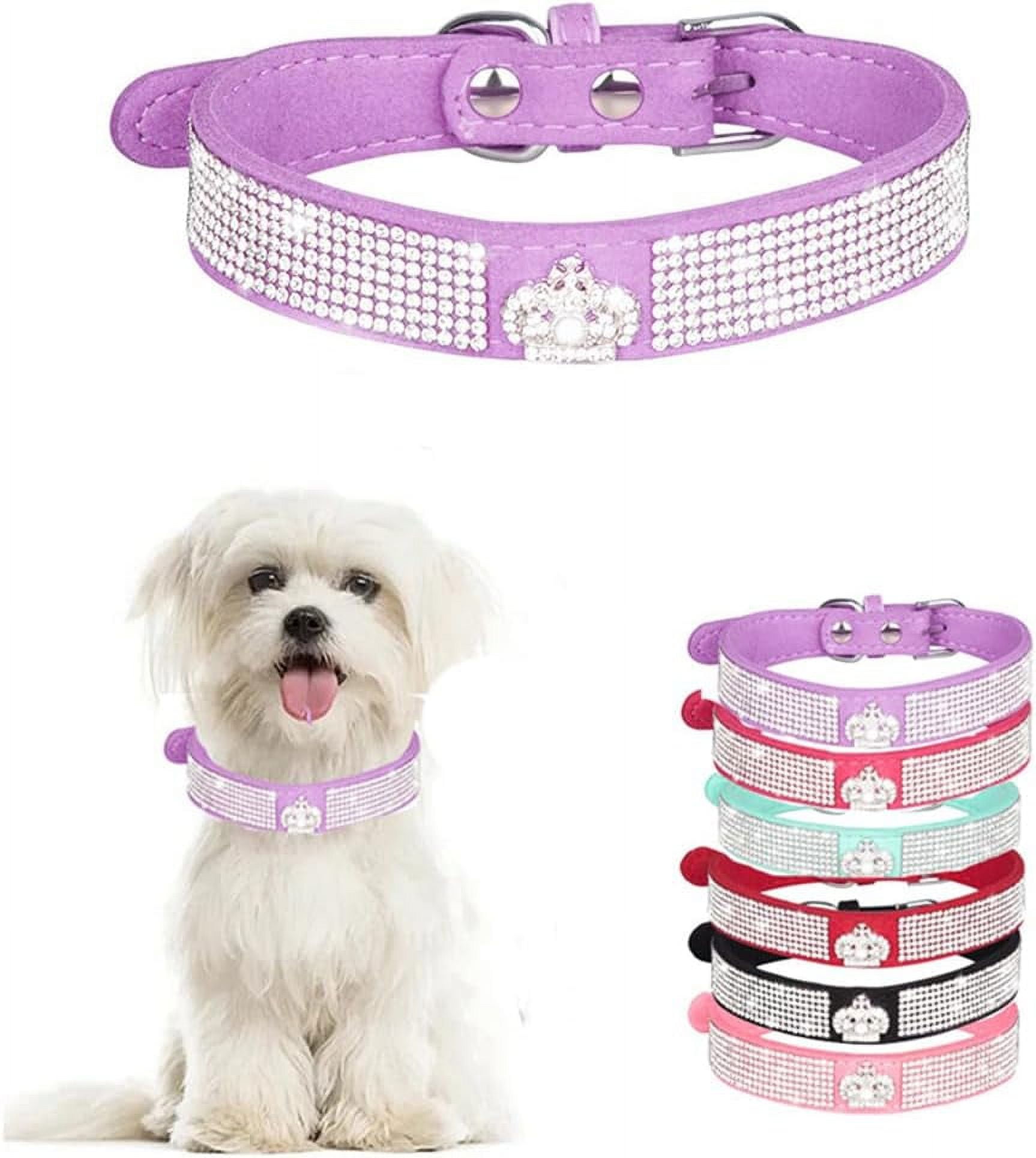 Rhinestone Dog Collar for Small Dogs, Bling Diamond Crown Pretty Jewel ...