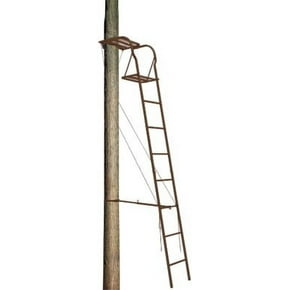 20 Ft Ladder Stand
