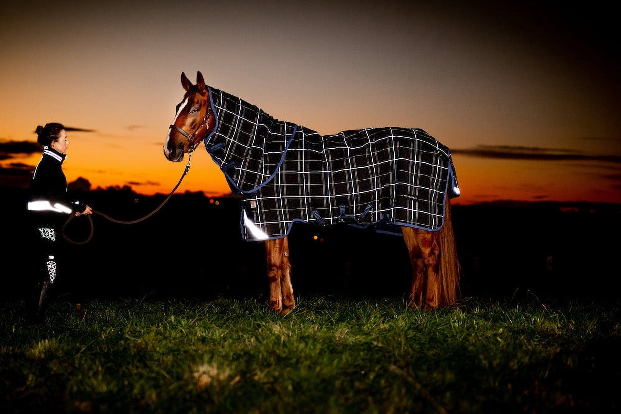 Rhino Plus Reflectech Vari-Layer Turnout Blanket (250g Medium, 150g ...