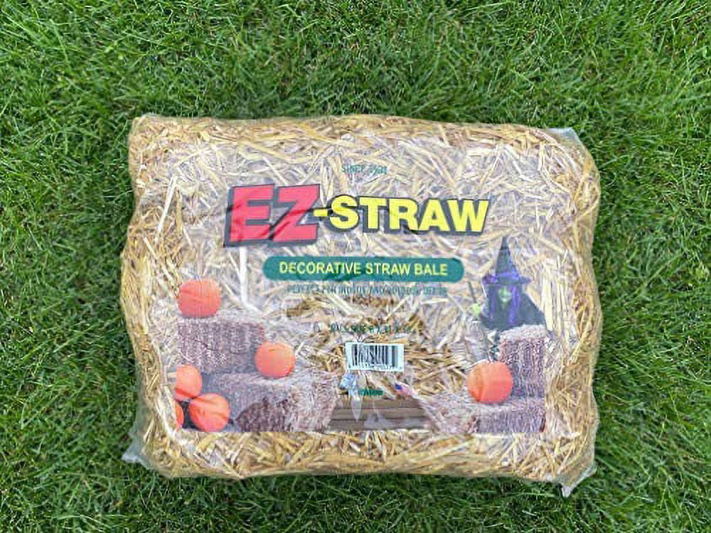 Rhino Seed EZ Straw Decorative Straw Bale Fertilizers, 5 lb with Non ...