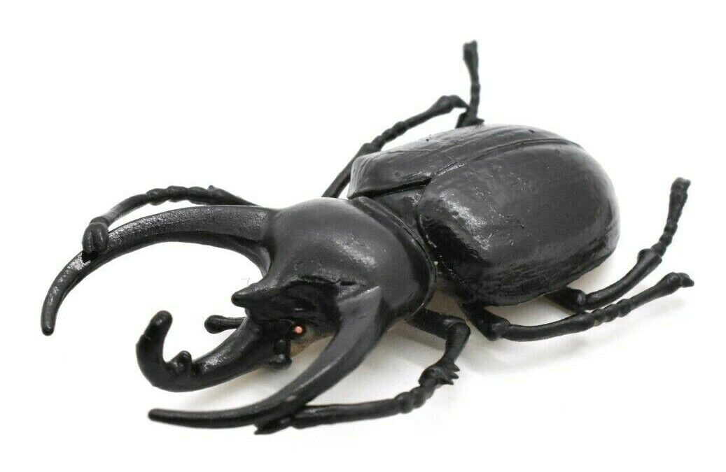 Rhinoceros Beetle Toy, Realistic Rubber Model, Bug, Insect 2 3/4" CWG04 ...