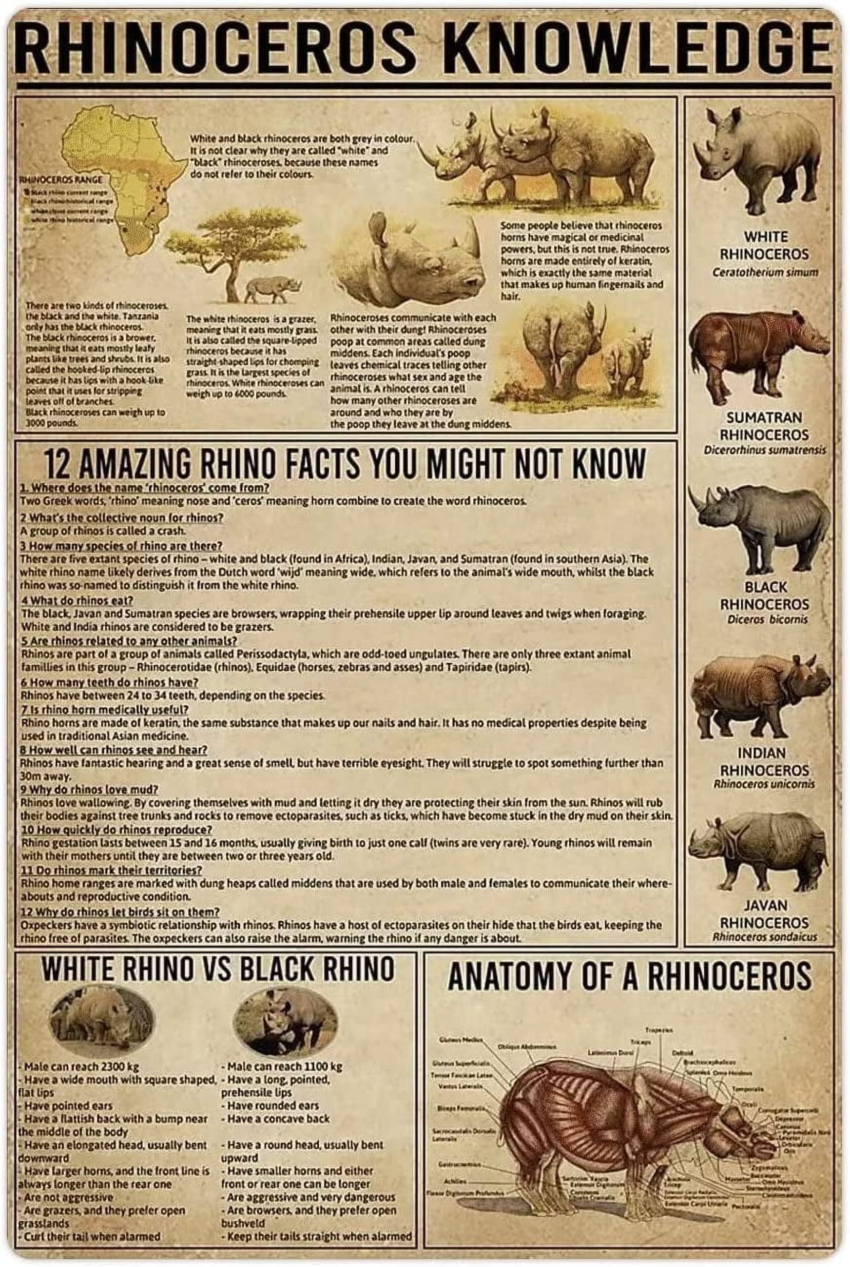 Rhinoceros Knowledge Metal Tin Signs Rhino Infographics Retro Posters ...