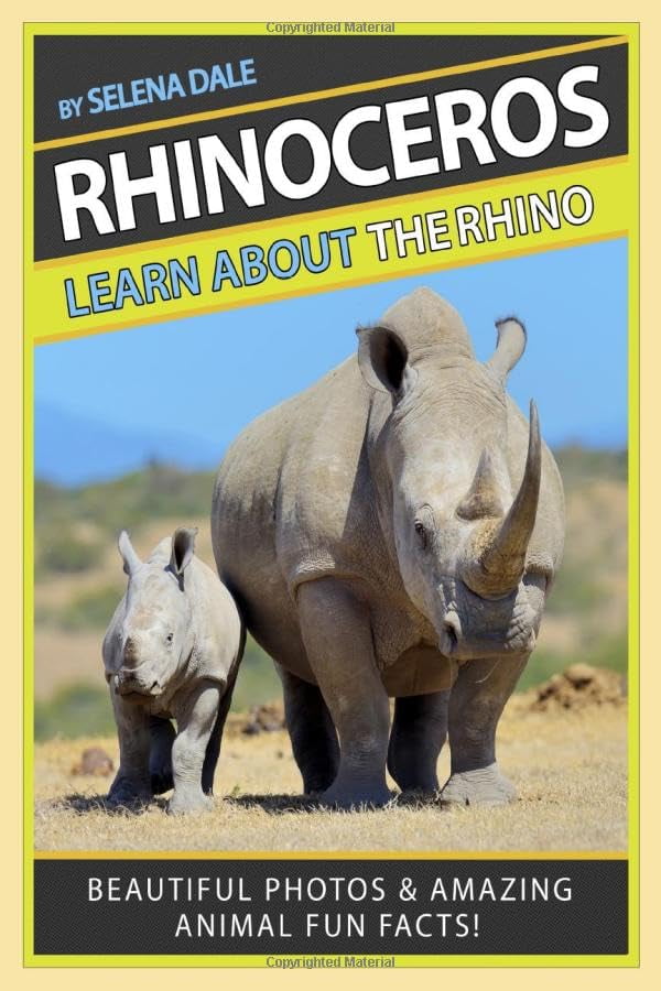 Pre-Owned Rhinoceros: Learn About The Rhino - Beautiful Photos And ...