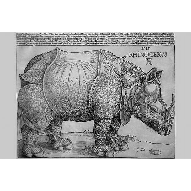 Rhinoceros woodcut. Albrecht Durer (1471 - 1528) was a German painter ...