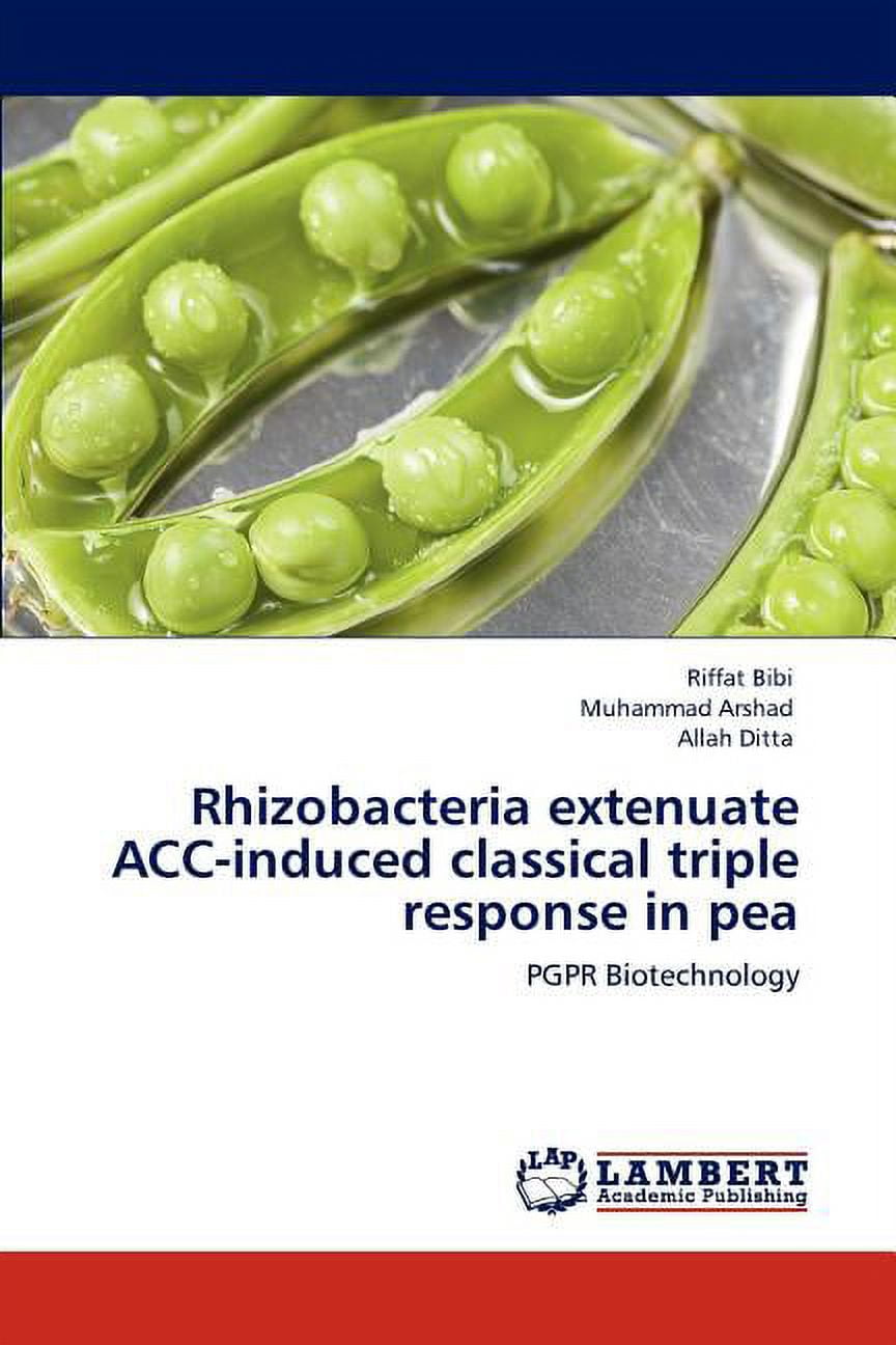 Rhizobacteria extenuate ACC-induced classical triple response in pea ...