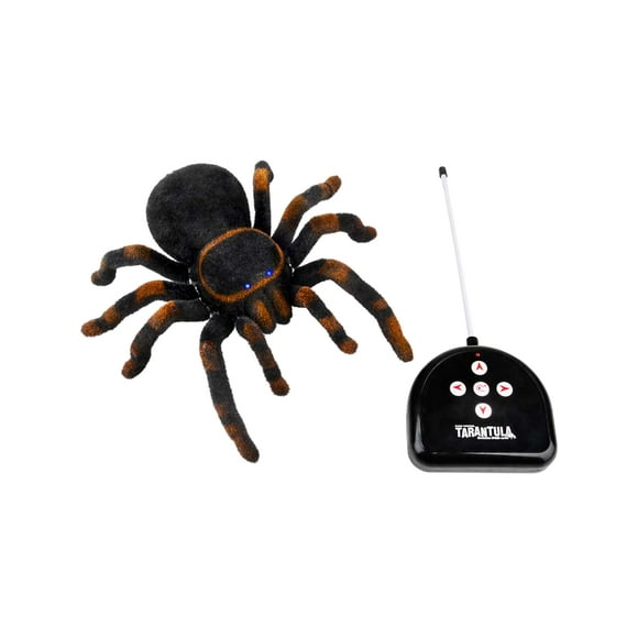 Remote Control Spider