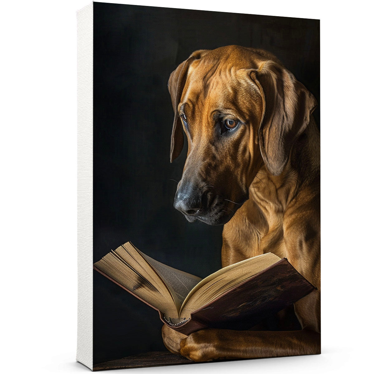 Rhodesian Ridgeback Decor Poster Unframe, Rhodesian Ridgeback Dog ...