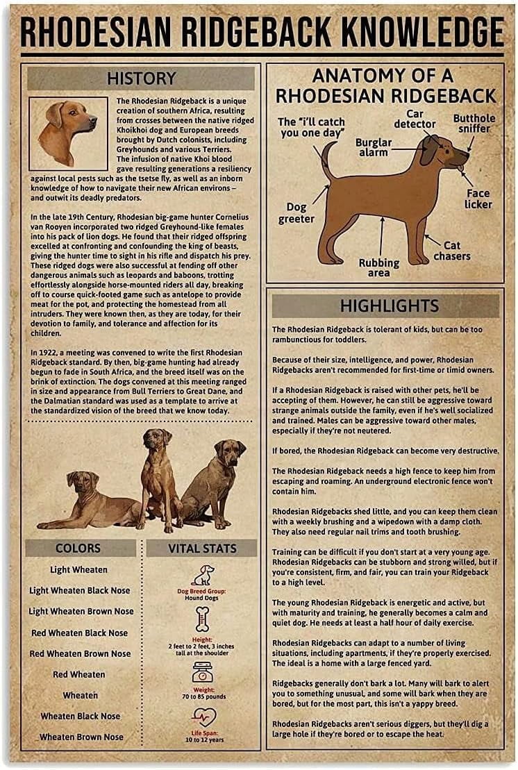 Rhodesian Ridgeback Dog Knowledge Metal Tin Sign Anatomy Of A Rhodesian ...
