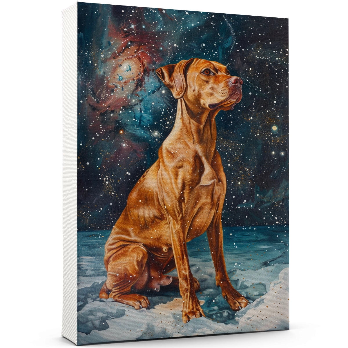 Rhodesian Ridgeback Dog Lying in The Snow Canvas Print Wall Art Famous ...