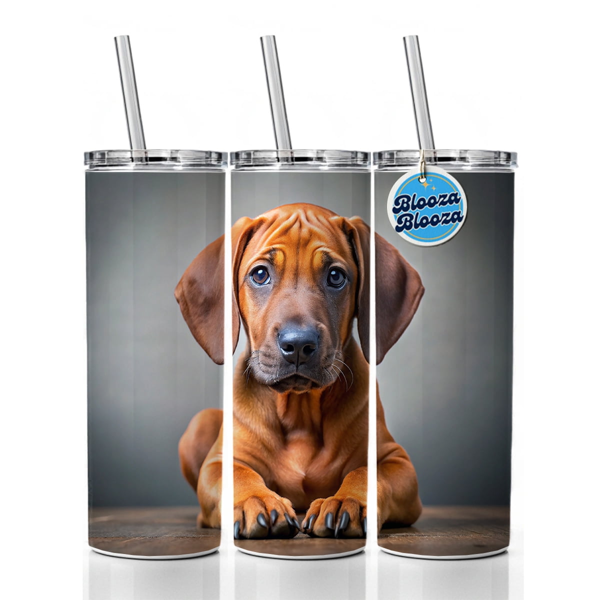 Rhodesian Ridgeback Dog Puppy Photo 20oz Insulated Water Bottle Skinny ...