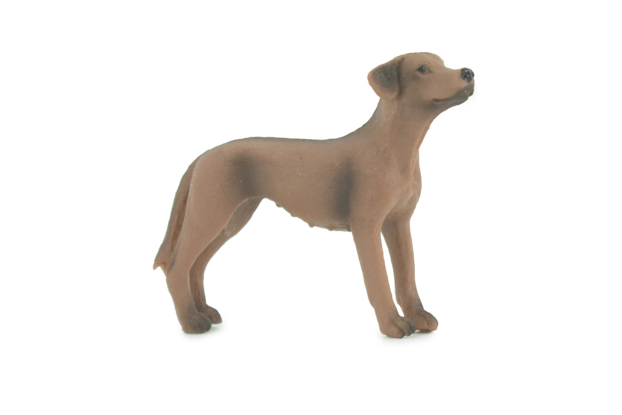Rhodesian Ridgeback Dog, Rubber Canine, Hand Painted, Realistic Toy ...