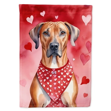 English Springer Spaniel Easter Egg Hunt House Flag 28 in x 40 in ...