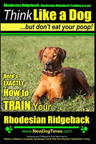 Pre-Owned Rhodesian Ridgeback, Rhodesian Ridgeback Training AAA AKC ...