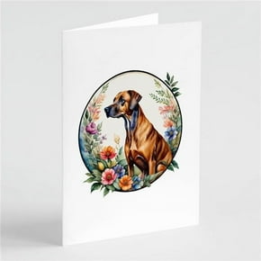 Birthday cards for anyone in Greeting Cards - Walmart.com