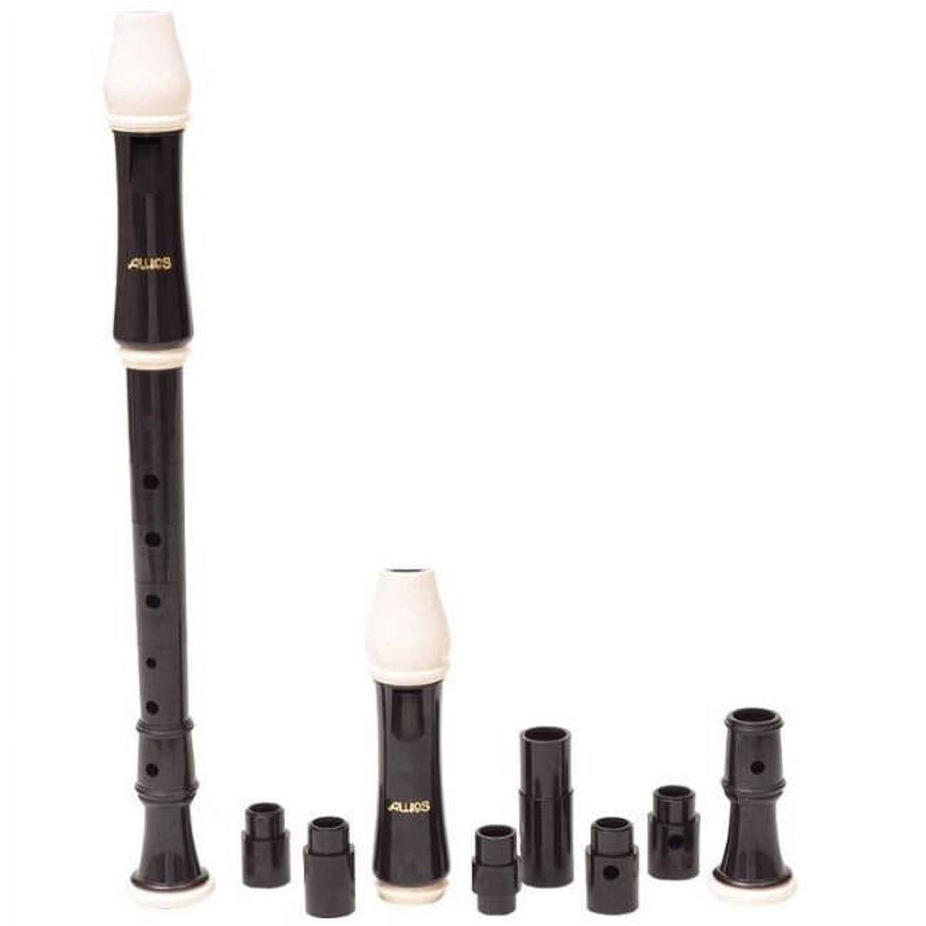 Rhythm Band Instruments Aulos Recorders for Disabled Soprano - Walmart.com