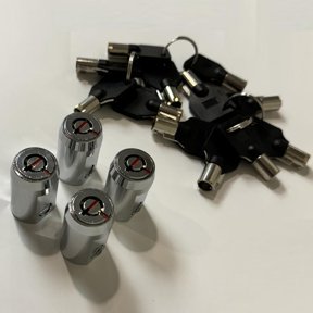 Storage Unit Cylinder Lock