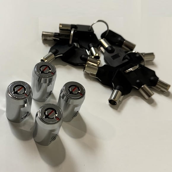 Storage Unit Cylinder Lock