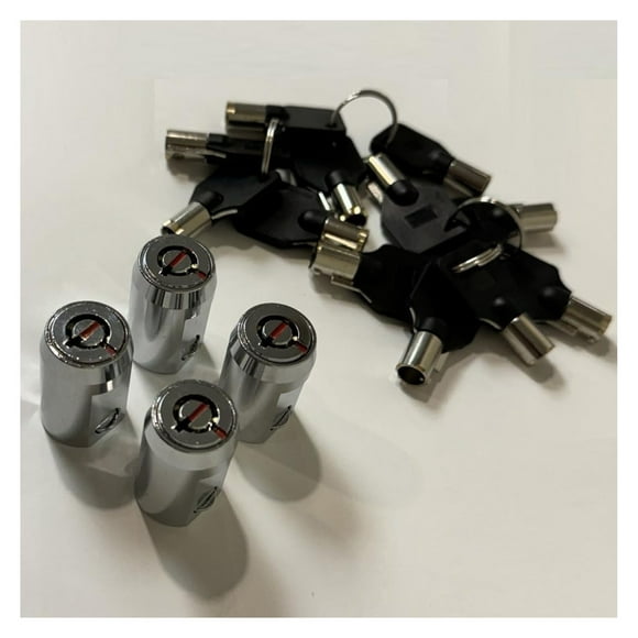 Storage Unit Cylinder Lock