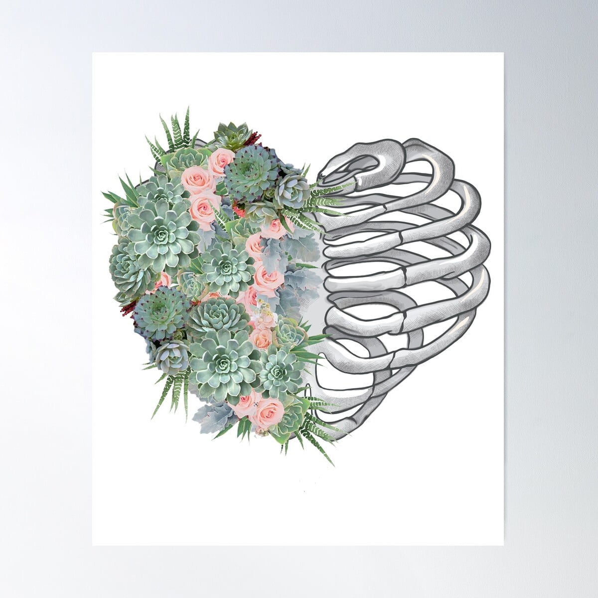 Rib Cage Heart Shape And Succulents Plant, Rib Cage, Anatomy Heart ...