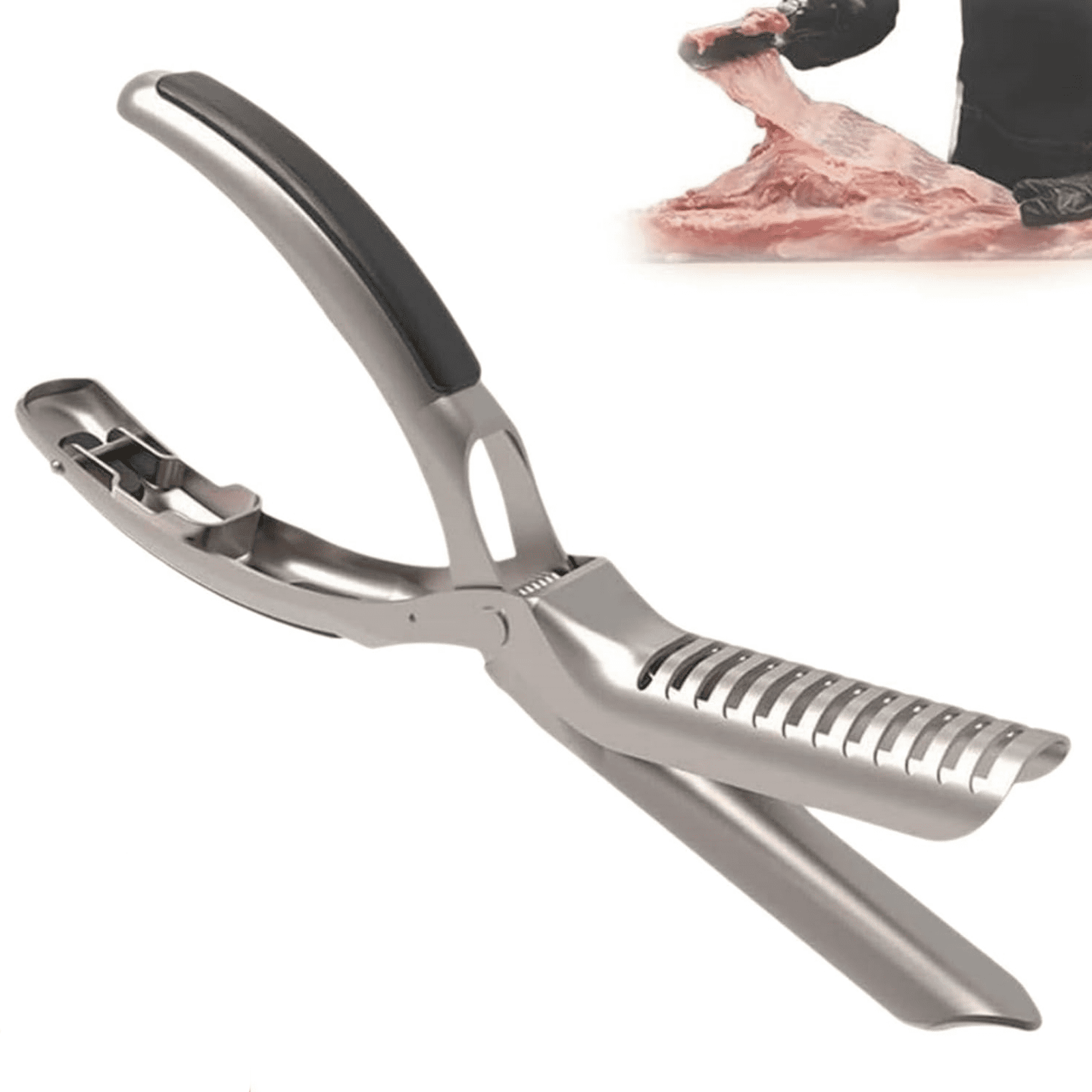 Rib Prep Tool Membrane Remover Stainless Steel Tool, Rib Membrane ...